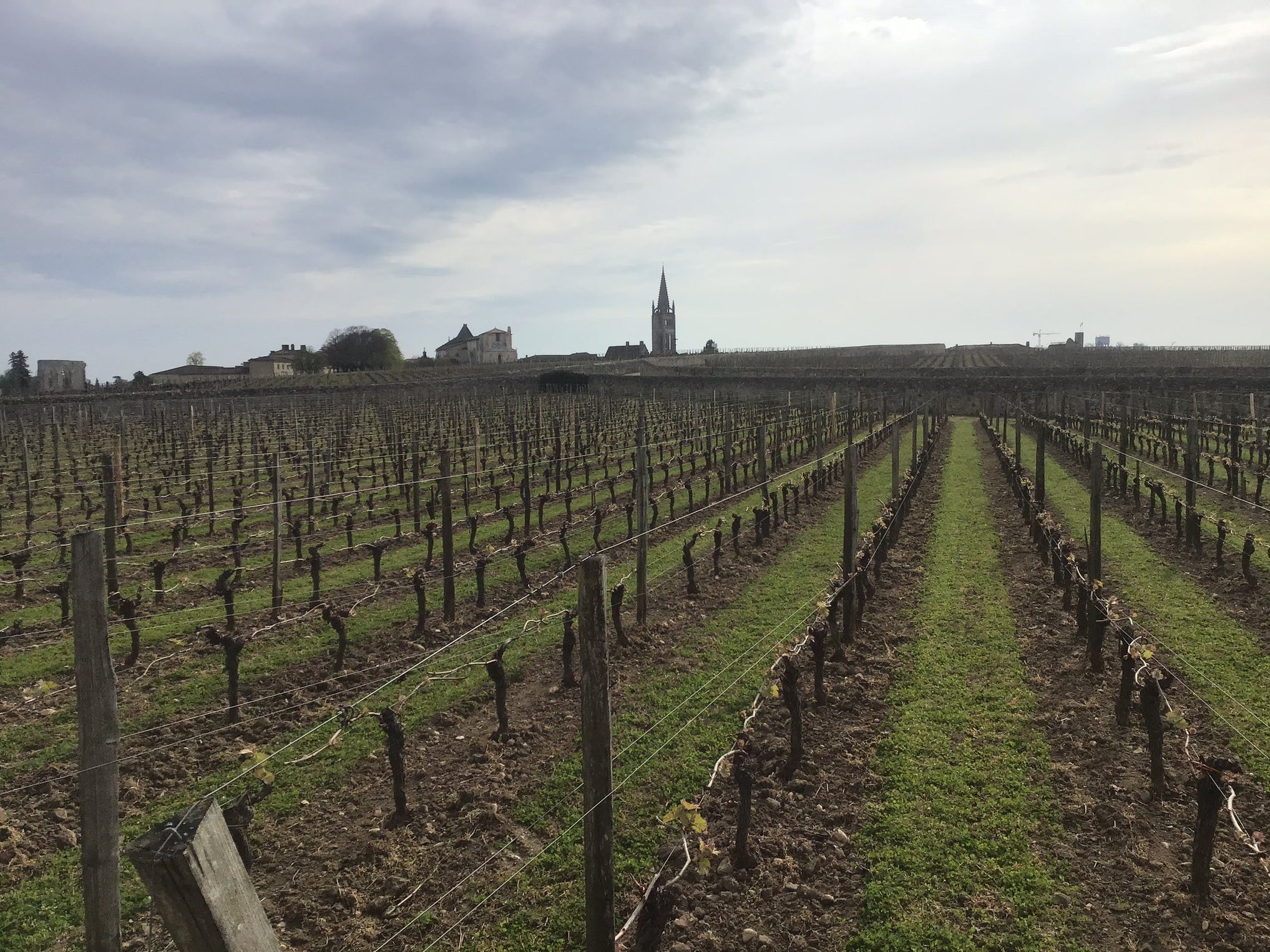 Château Canon 2022, St Emilion — Fine Wine Direct